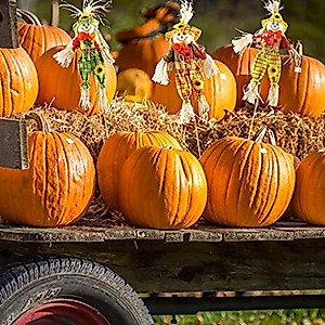 IFOYO Small Fall Harvest Scarecrow Decor, 3 Pack Happy Christmas Decorations 15.75 Inch Scarecrow Christmas Decoration for Garden, Home, Yard, Porch, Thanksgiving Decor