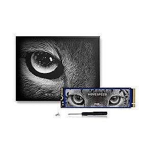 MOVE SPEED XB5000 1TB SSD for PS5 with Heatsink, PCIe 4.0 NVMe M.2 Internal Solid State Drive - Up to 5000MB/s, 3D NAND Storage Expansion Hard Drive Compatible with PS5, Desktops and Laptops