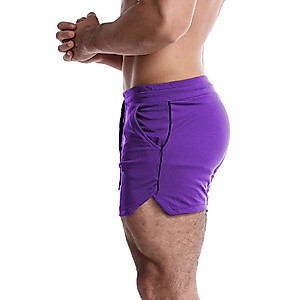 Men's 5 Inch Inseam Workout Shorts Athletic Gym Shorts Bodybuilding Short Shorts Casual Running Shorts Purple US M