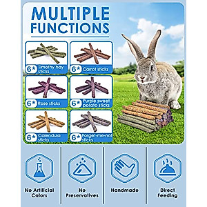 Bissap 36PCS Bunny Chew Sticks, Mixed Natural Timothy Hay Carrot Purple Potato Flowers Rabbit Treats for Bunny Chinchilla Guinea Pig Hamster and Other Small Animals Molar Snack Toy