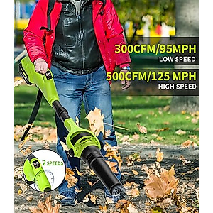 GardenJoy 40V Cordless Leaf Blower - 500CFM Brushless Electric Handheld Leaf Blower with Battery and Fast Charger, 2 Variable Speeds, Lightweight Portable Power Leaf Blowers for Lawn Yard Garden Care