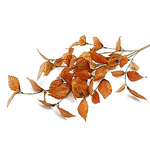 28 inches 6 Pieces Fall Stems, Fall Leave Stems，Fall Stems for Front Door，Fall Stems for Outdoor and in Door Garden Farmhouse Harvest Garden Home Decor