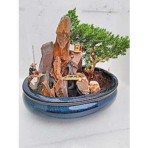 jmbamboo-bonsai- Juniper Tree Zen Garden With Pool Fishman