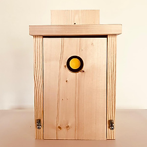 Sparrow Birdhouse Trap 1.5" Bird Hole w/Trap Door | Highly Effective & Easy to Use | Catch and Release Problem Sparrows Small Woodpeckers Wrens & Small Little Annoying Grey Brown Birds Species