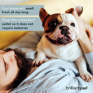 BrilliantPad Self-Cleaning, Automatic Indoor Dog Potty for Puppies and Small Dogs | Original Roll w/Plastic Rod & Caps Incl (Original 2.0 Machine w/Drip Lip, Gray)