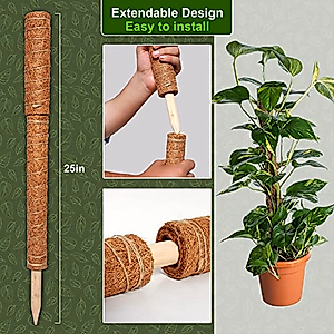 Moss Pole for Plants 90 inches Pack of 6 - Moss Pole for Climbing Plants Monstera 16.5 and 11.8 inches - Totem Pole Plant Supports with Gardening Accessories - Plant Poles for Potted Plants Indoor