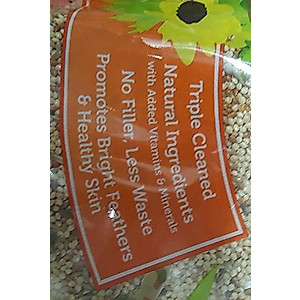 Sweet Harvest Finch Bird Food, 4 lbs Bag - Seed Mix for Finches