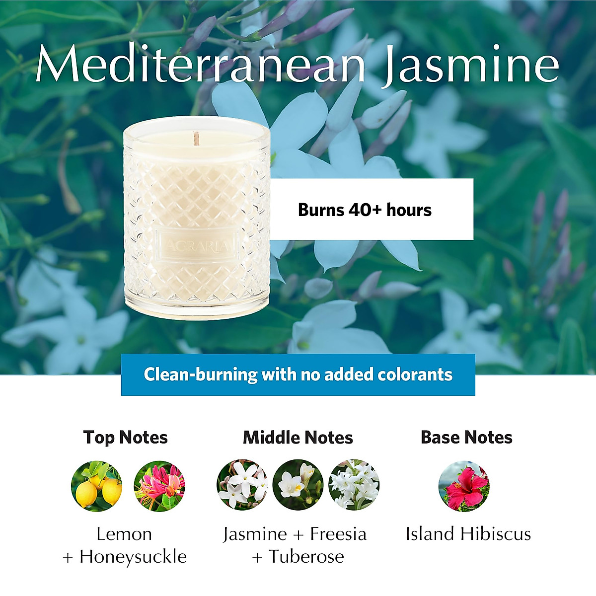 AGRARIA Scented Candles, Long-Lasting Premium Soy Wax Candles, Vegan, Scented Candles for Home, Elegant Home Fragrance Scented Candles Gifts, 7oz