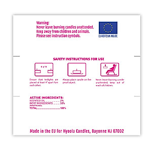 HYOOLA Scented Tealight Candles - Clear Cup - Winter Orange Tealight Candles Scented - 6 Hour Burn Time - 15 Pack - European Made