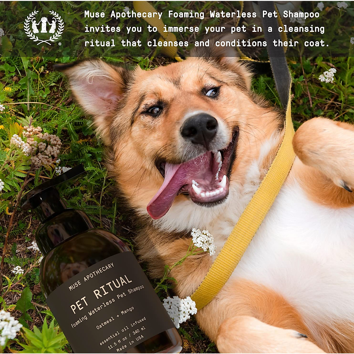 Muse Apothecary Pet Ritual Foaming Waterless Shampoo for Dogs, Waterless Dog Shampoo Foam, No Rinse Dog Shampoo, Waterless Dog Shampoo for Large Dogs - Essential Oils Infused, 11.5oz Lavender Fields