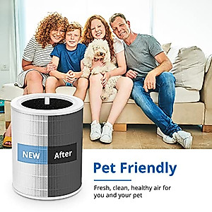 Core 600s Pet Replacement Filter Compatible for LEVOIT Core 600S Air Purifier, 3-in-1 H13 True HEPA Filter and Activated Carbon 600s Filter, Core 600S-RF-PA, 2 Pack