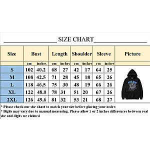 Hip Hop Spider Web Print Hoodie Men Women Spider Sweatshirts Pullover Y2k Clothes Sudaderas Tops (black,L,Large)