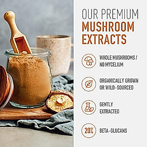 Steep Into It Organic Lions Mane Mushroom Supplement - Lions Mane Extract Powder for Mental Clarity, Focus and Cognitive Function (45g, 30 Servings) - Sharp & Focused