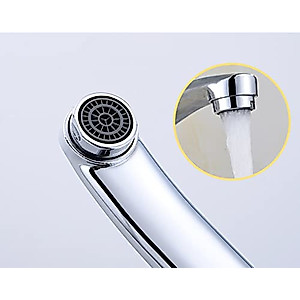 AIDE Wall Mounted Cold Water Sink Faucet, Single Handle Brass Tap for Kitchen Garden Outdoor Laundry Sink with Stainless Steel Tube, Chromed, 9 Inch