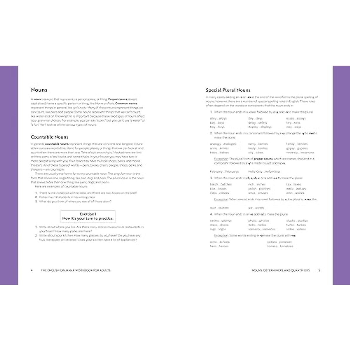 The English Grammar Workbook for Adults: A Self-Study Guide to Improve Functional Writing