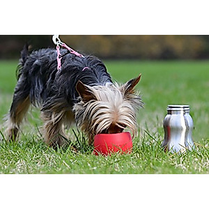 KONG H2O Stainless Steel Water Bottle (280ml/9.5oz) with Drinking Bowl Lid- Red