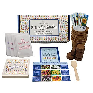 Nuggets of Nectar Butterfly Garden Flower Seed Starter Kit- Grow 6 Types of Wildflower Seeds Sized for Flower Pots- Nasturtium, Zinnia, Cosmos, Dwarf Sunflower, Baby Snapdragon and Candytuft