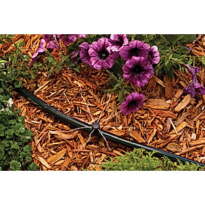 Rain Bird MBSPF10S Drip Irrigation Self-Piercing Micro-Bubbler, 360° Full Circle Pattern, 0 - 3' Spray Distance, 10-Pack