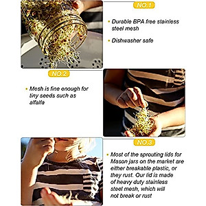 Sprouting Jar Strainer Lid - For Growing Organic Sprouts & Sprouter Screens - 304 Stainless Steel