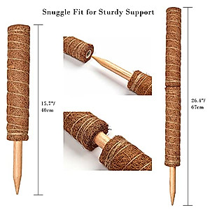 Rcraft 63 Inch Tall Moss Pole for Plants Monstera 4 Pack with Hemp Rope, Bendable Stakes for Indoor Plants Support/Totem Pole, Climbing Plants Sticks for Growth- Perfect for Medium/Large House Plants