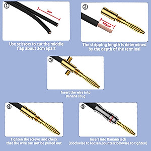 Viborg Audiocrast HiFi Speaker Banana Plugs Gold Dual Screws Locking Banana Connector Terminals 8 PCs (UST)