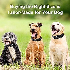 Waterproof Airtag Dog Collar, SANKALA Padded Apple Air Tag Dog Collar, Heavy Duty Dog Collar with AirTag Holder [Full Body Covered], Adjustable Air Tag Pet Collar for Small Medium Large Dogs, L