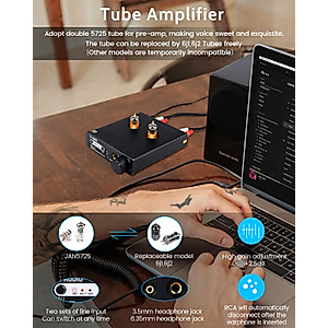 FX-Audio Tube-02 Pro Tube Headphone Amplifier, Vacuum 5725 Tube Preamp, Mini Hi-Fi Integrated Stereo Class A amp Supports 32-600 ohms of Headphones, for Stereo Amplifier/Active Speaker