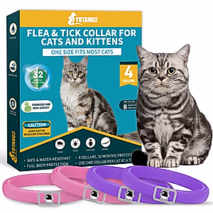 4 Pack Flea Collar for Cats, Cat Flea and Tick Collar 8 Months Cat Flea Collar Treatment Prevention, Adjustable Waterproof Cat Flea Collar Kitten Natural Tick and Flea Collar for Cat (Pink&Purple)