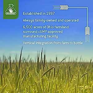 Graminex PollenAid Prostate Supplement: All Natural Prostate Support for Bladder Control & Urinary Tract Health, Rye Pollen Extract Made in USA, 200 Tablets (Pack of 2)
