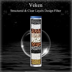 Veken Filtered Shower Head with Handheld
