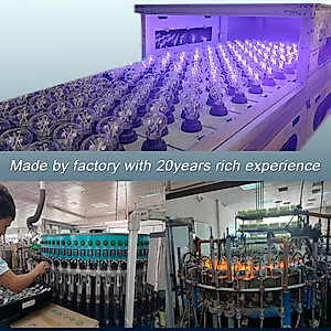 TITO 2 Pack E26 A19 Filament LED Black Light Bulbs, UVA 395nm 6W Blacklight Bulb 100W Equivalent, Black Light Bulb Glow in Dark Halloween Christmas Party Fluorescent Tapestry Poster Decor Body Paint