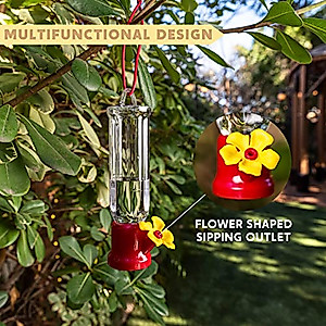 JOIEDOMI Set of 6 Mini Hummingbird Feeders with Hanging Wires, Transparent Outdoor Humming Bird Feeder Set with 3 Cleaning Brush for Patio, Outside, Lawn, Backyard, Garden, Easy to Clean
