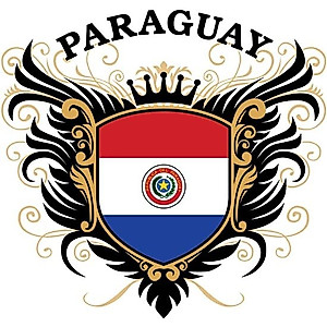 CafePress Paraguay Mug Ceramic Coffee Mug, Tea Cup 11 oz