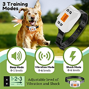 Pawious GPS Wireless Dog Fence - Pet Containment System, Electric Dog Fence with Radius up to 1000 Yards, Rechargeable, Perimeter Shock Collar for Medium and Large Dogs, Outdoor Use Only