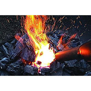 BISON AIRLIGHTER 420, Cordless Fire Starter, Charcoal Starter and Lighter, Grill Starter, Campfire Starter, Butane Powered with Built-In Blower