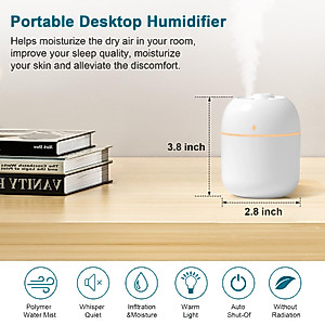 Portable Small Humidifier, USB Personal Desktop Humidifier for Car, Office Room, Bedroom, Auto Shut-Off, 2 Mist Modes, Super Quiet(220ml, White)