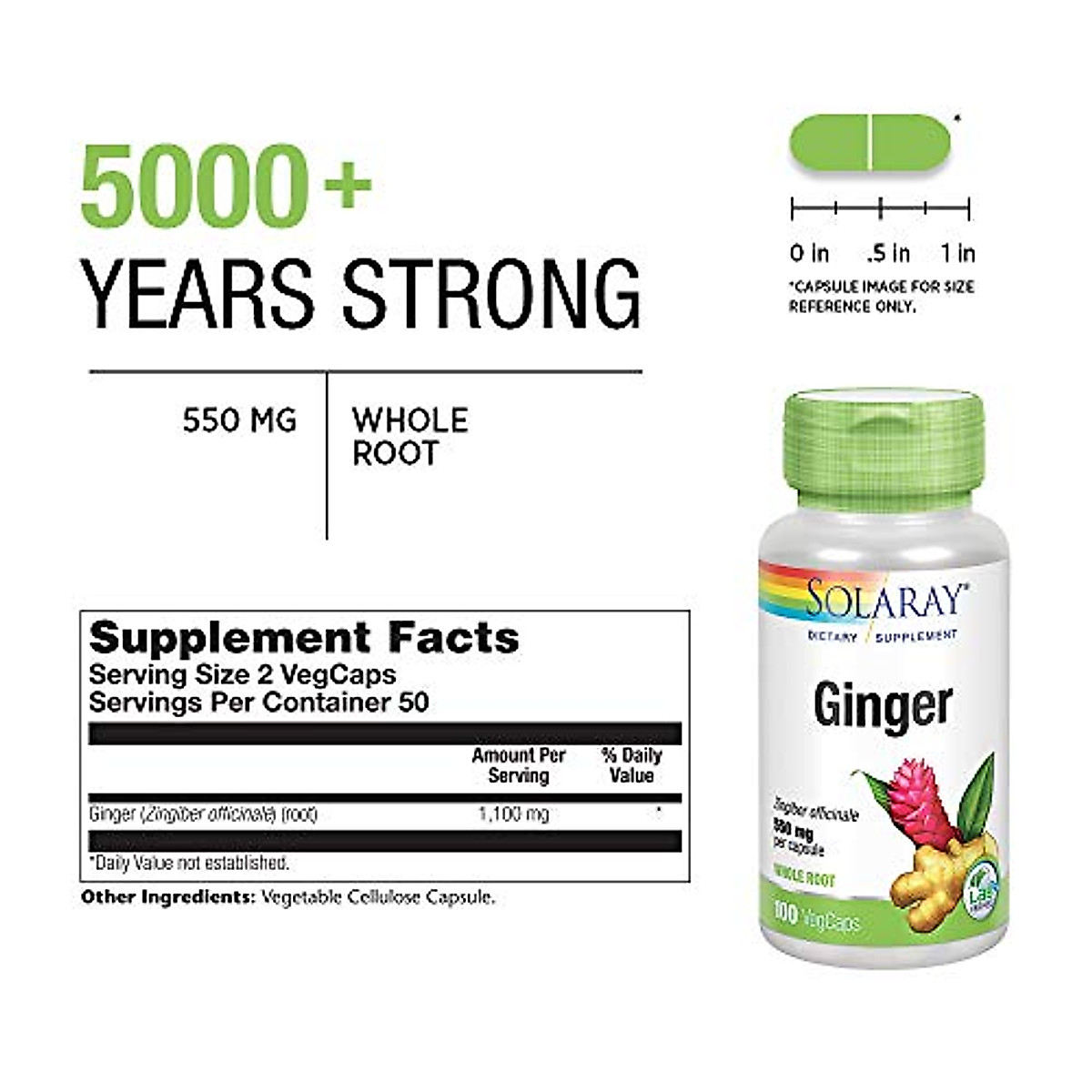 SOLARAY Ginger Root 1100mg | Healthy Digestion, Joints and Motion & Stomach Discomfort Support | Whole Root | Non-GMO & Vegan | 100 VegCaps