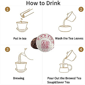 Yan Hou Tang 10 Years Aged Chinese Puerh Tea Compressed Tuo Cha Yunan Pu Erh Black Lump Ripe Fermented 100g