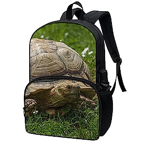 Parprinty Kids Funny Animal Tortoise Backpack for Boys Girls Comfy Padded Lightweight Sturdy Student School Backpack with Front Pocket Double Zipper 17 Inch Kids Basic Black Daypack Bookbag
