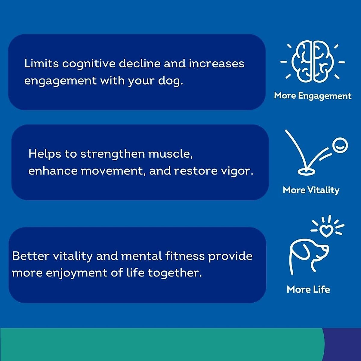 Leap Years Soft Chew Dog Supplement – Clinically Proven Daily NAD & Senolytic Formula; Support Cognition, Vitality & Healthy Cellular Aging; Beef Flavor (Large Breed (55-76 lbs))