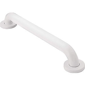 Glacier Bay 24 in X 1 1/2 in Concealed grab Bar...White