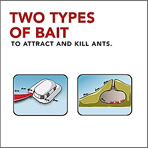 Raid Max Double Control Ant Baits, 8 CT 0.28 Ounce (Pack of 2)