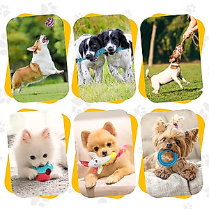 KIPRITII Luxury Puppy Chew Toys - 20 Pack With Rope, Squeaky, and Bite Toys for Teething Small Dogs