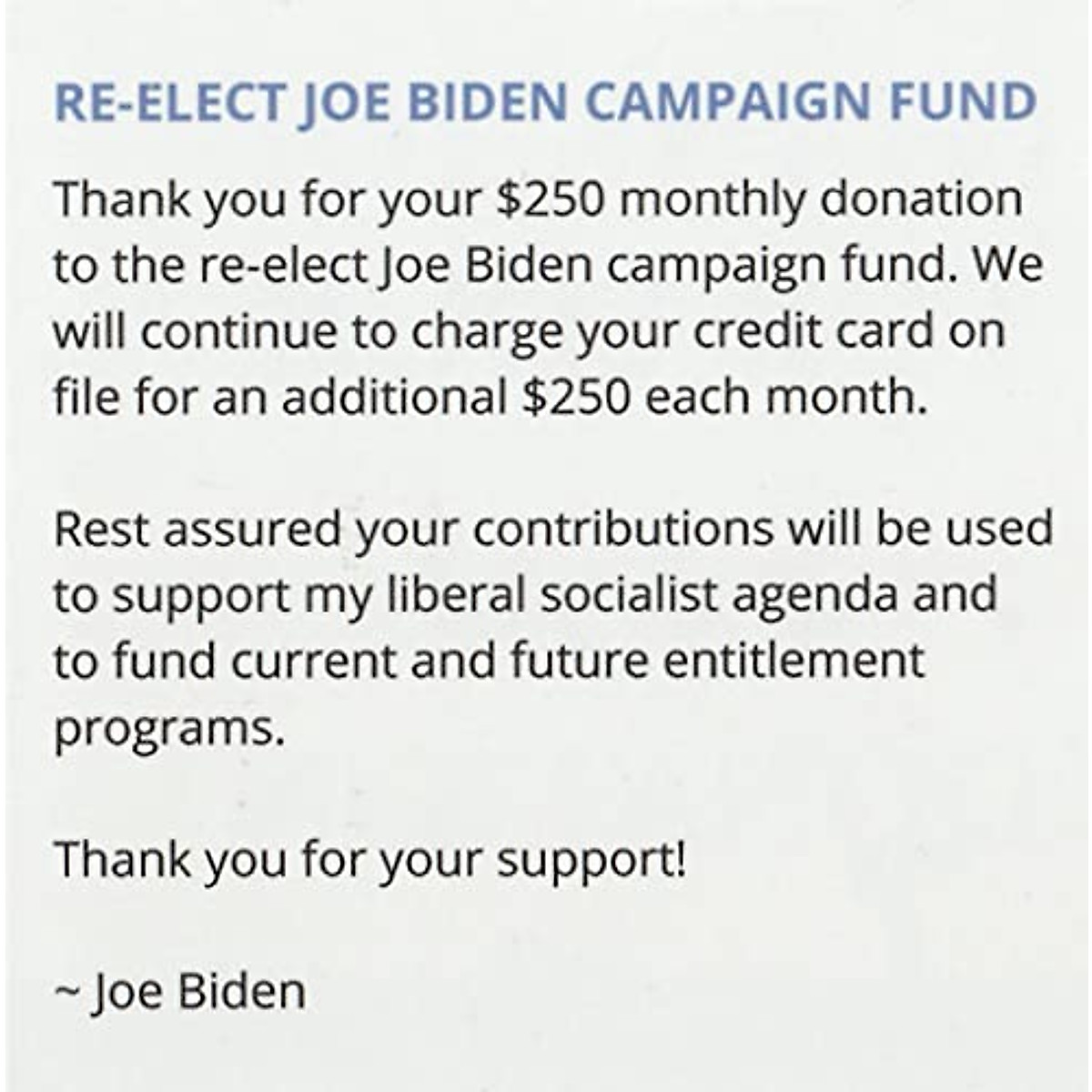 Crazy Novelty Guy (10-Pack) Bulk Prank Postcards - Joe Biden Re-Election Campaign Donation - Pranks Practical Jokes Gags Revenge Hate Mail - Send Them To Your Victims Yourself