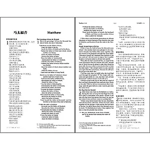 CCB (Simplified Script), NIV, Chinese/English Bilingual Bible, Hardcover, Black/Gold (Chinese Edition)