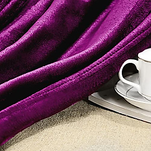 VANSILK Flannel Fleece Throw Blanket for Couch Purple 300 GSM, Lightweight Luxury Fuzzy Cozy Throws and Blankets for Sofa or Bed, Super Soft & Comfy (90x90 Inches)