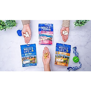 Whole Life Pet Just One Salmon - Dog Treat Or Topper - Human Grade, Freeze Dried, One Ingredient - Protein Rich, Grain Free, Made in The USA