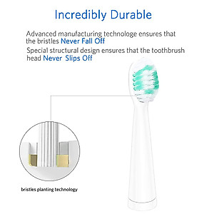 DHMXDC Electric Toothbrush Brush Head x 4 and Hygienic Cap for Models of DHMXDC Sonic Toothbrushes