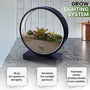 Grow Vival (2-in-1) Soil/Water Hydroponic Growing System - Indoor Garden Planter, (5) Baskets - Round Design with Grow Lights - Ideal for The Home or Office - DIY Create Your Own - Black