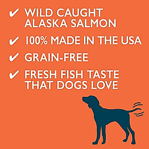 Alaska Naturals – Wild Alaska Salmon Oil Formula Dog Food Topper – EPA and DHA Omega-3 - Supplement for Healthy Skin, Shiny Coat – Made in The USA – 15.5 oz. Pump Bottle